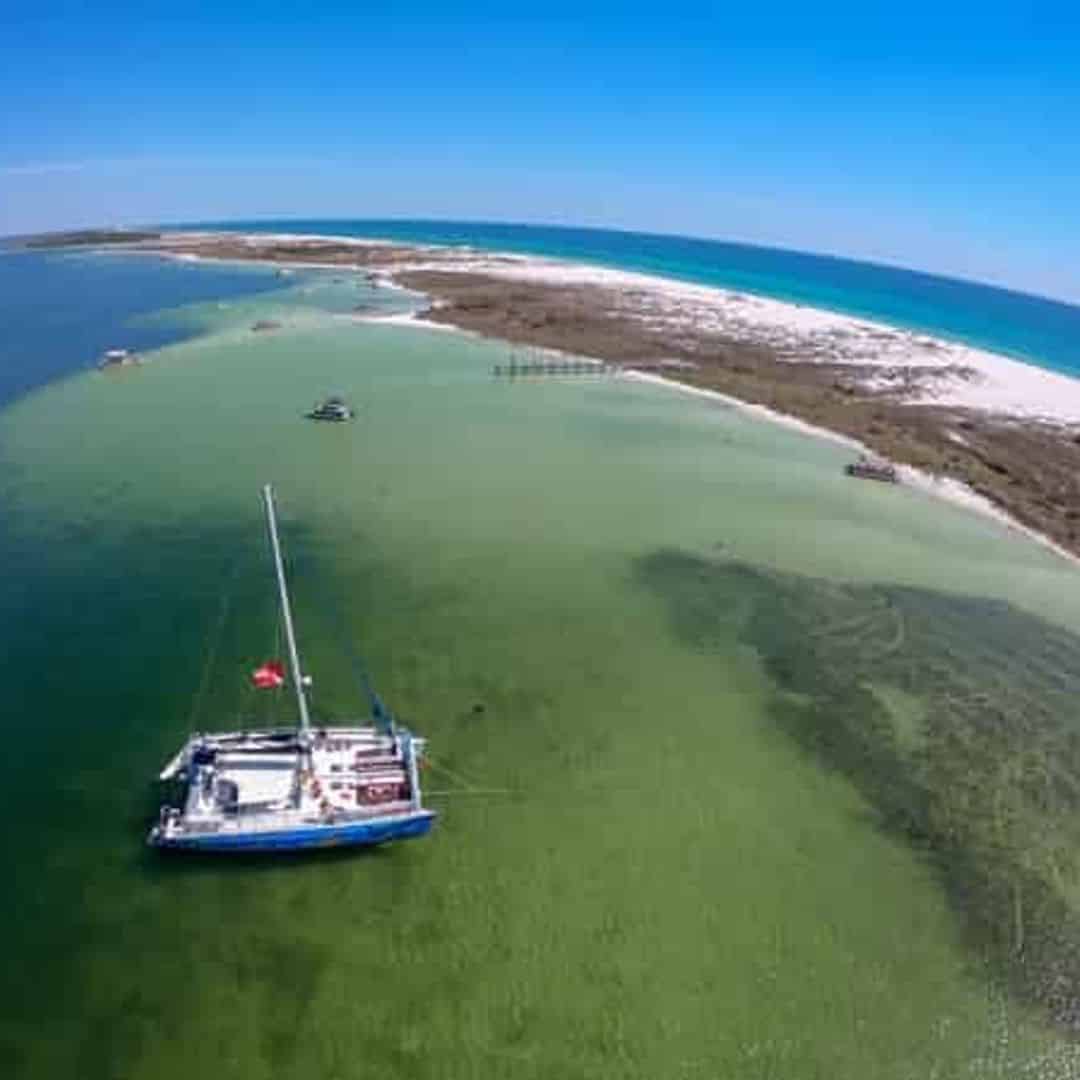Panama City Beach Shell Island Dolphin and Snorkel Cruise - TripShock!