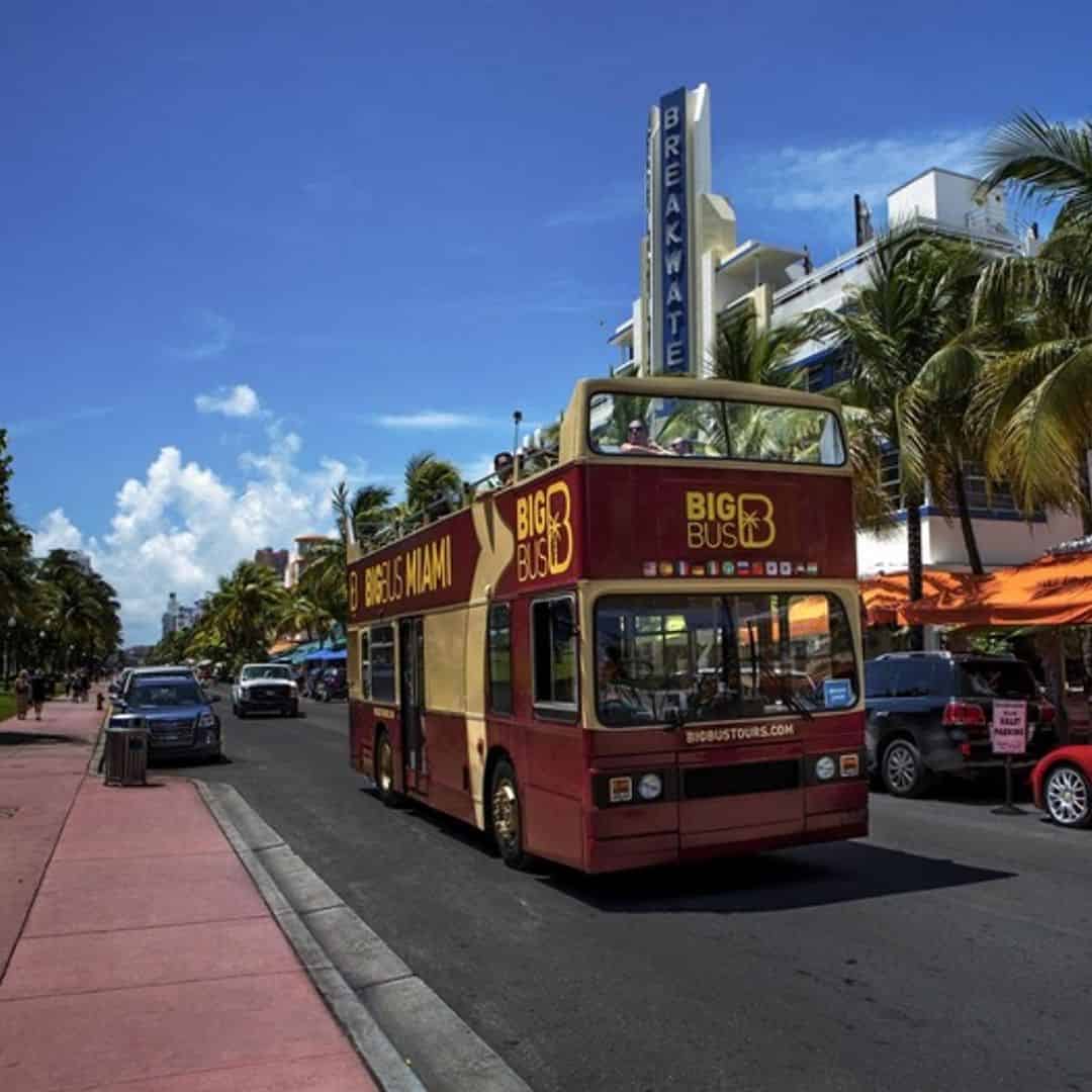 Miami: 24-Hour Pass for Hop On Hop Off Sightseeing Bus Tour - TripShock!