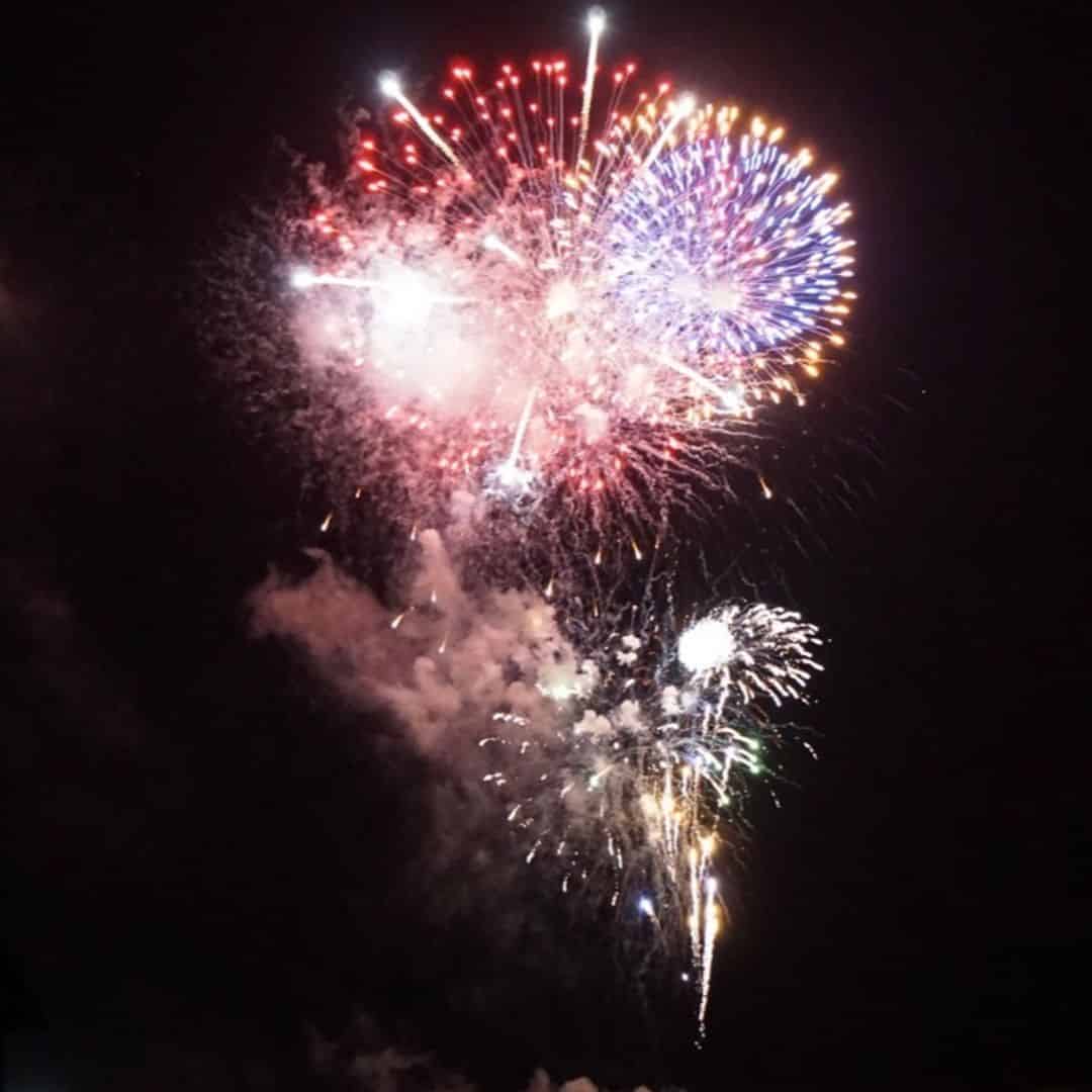 Fireworks Sunset Dolphin Tour - TripShock!