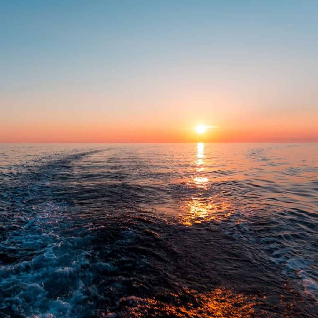 Top Naples Sunset Cruises & Tours 2026 - TripShock!