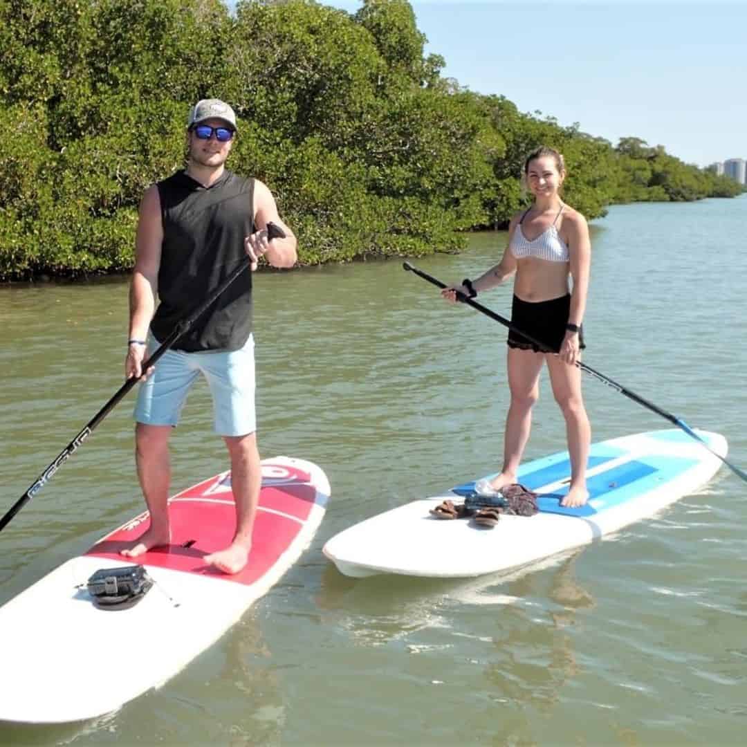 Bonita Springs: Island Mangrove Guided Paddleboard Eco Tour - TripShock!