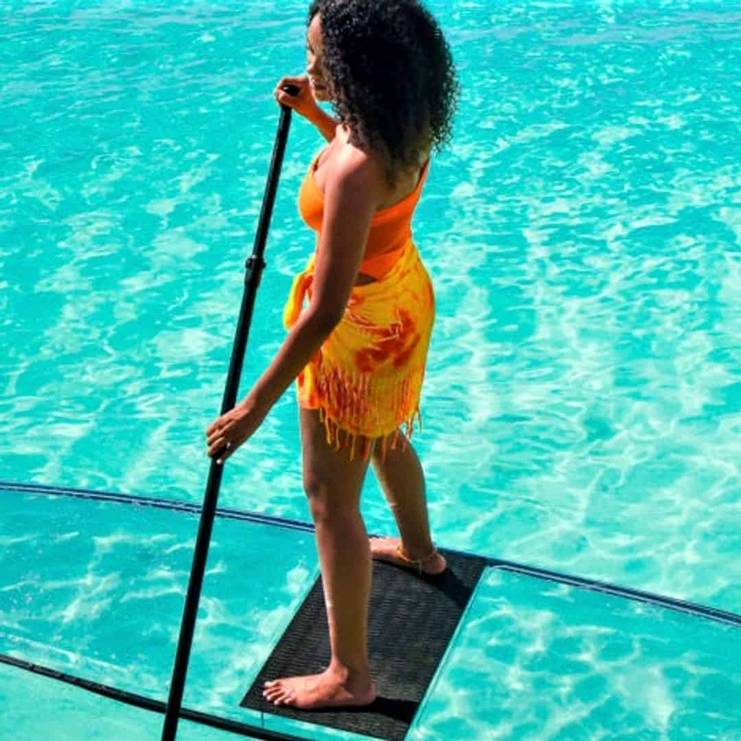 Bonita Springs: Island Mangrove Clear Paddleboard Eco Tour - TripShock!