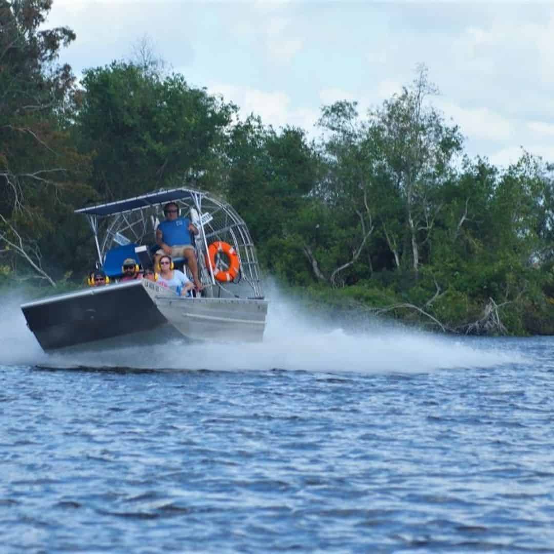 Barataria Swamp Small Airboat Tour - TripShock!