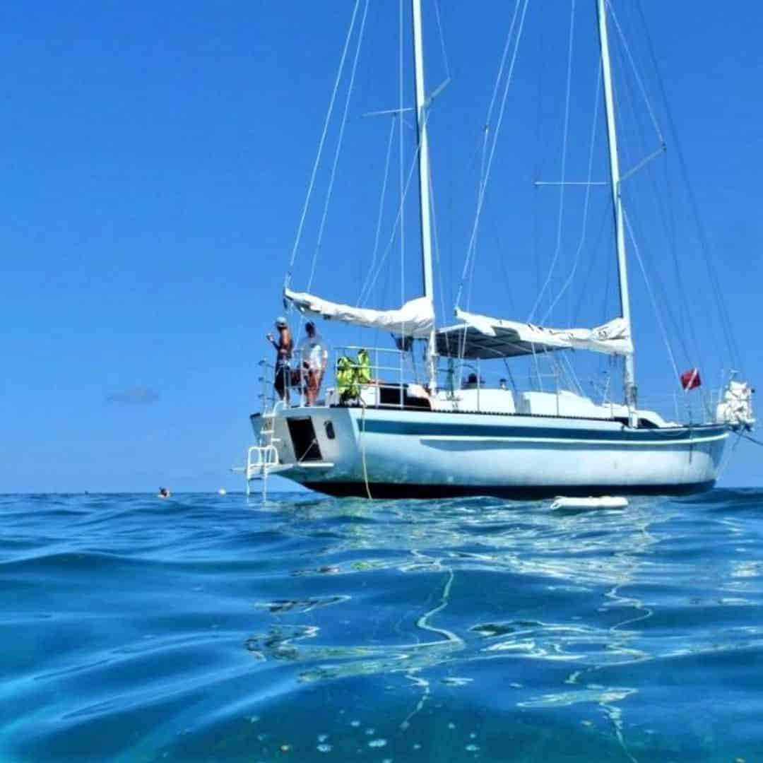 Key West: Snorkel & Sail Adventure on the Floridays with Complimentary ...