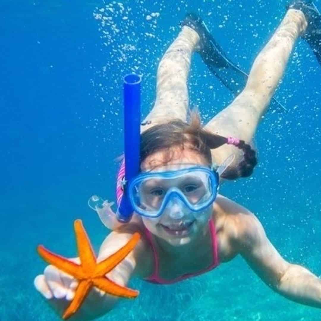 Panama City: Shell Island Snorkeling Tour - TripShock!