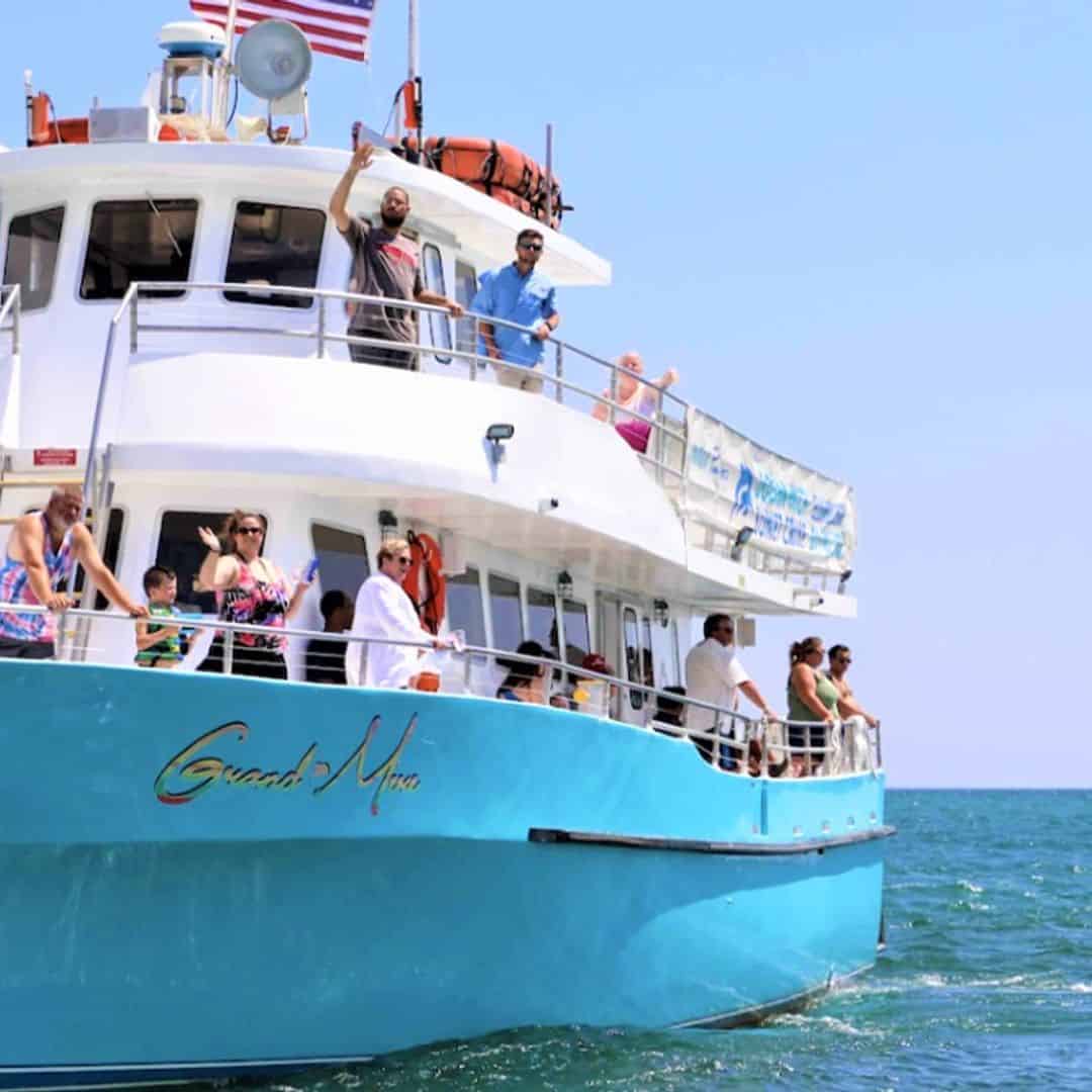 Panama City Beach: Shell Island Excursion & Dolphin Cruise on the Grand ...