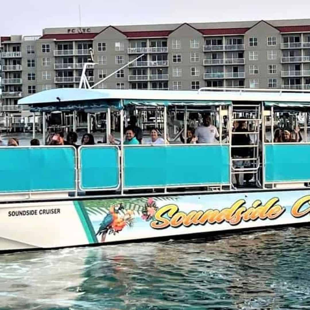 Fort Walton Beach: Morning Dolphin & Snorkel Tour - TripShock!
