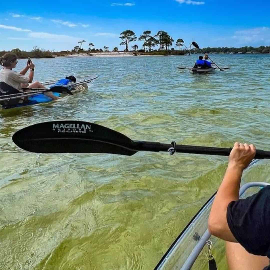 Destin: Clear Kayak Tour - TripShock!