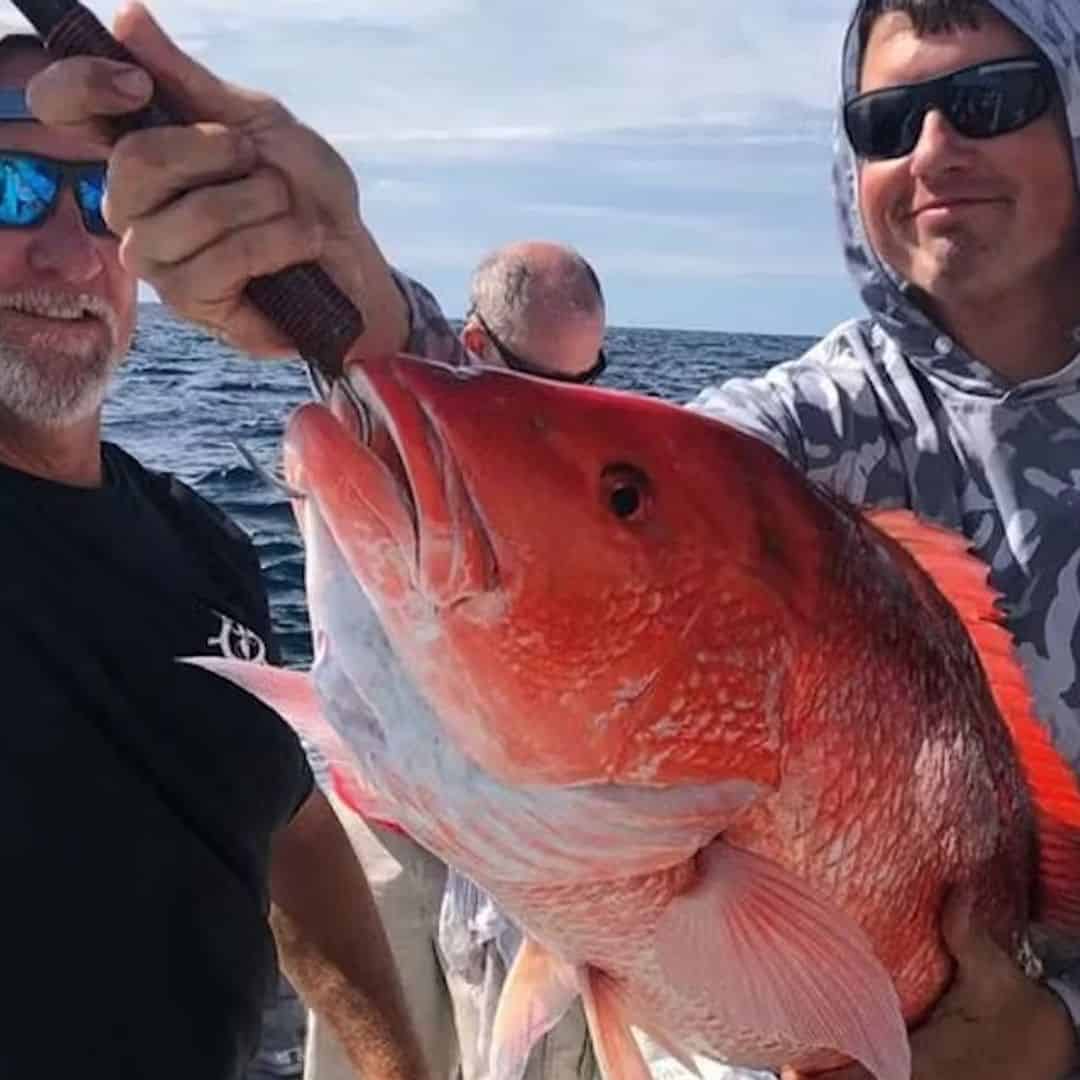 Destin: 6 Hour Party Boat Fishing on Swoop II - TripShock!