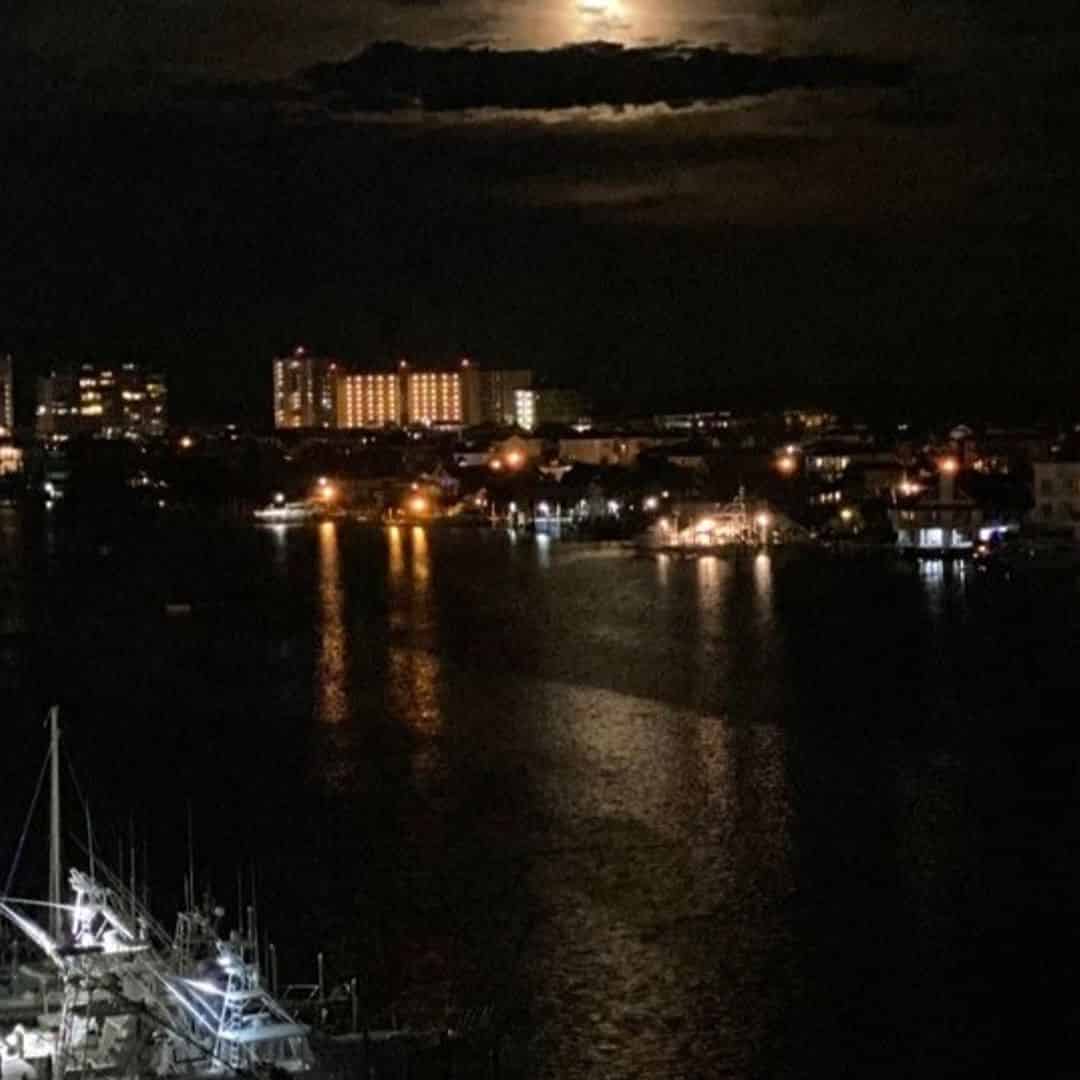 Harbor Lights Tour on Just a Splash - TripShock!