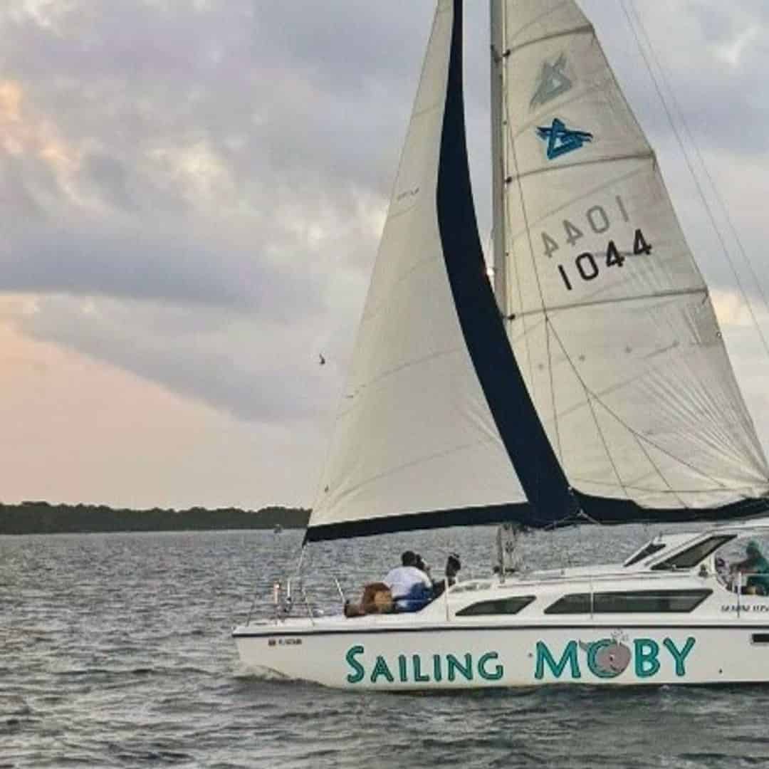 Destin: Swim & Sunset Tour on the Sailing Moby - TripShock!