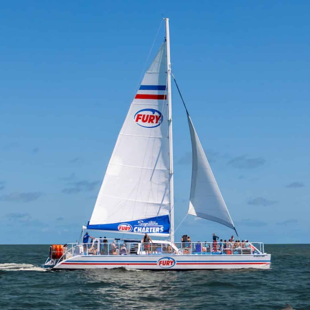 Top St. Augustine Dolphin Cruises & Tours 2025 - TripShock!