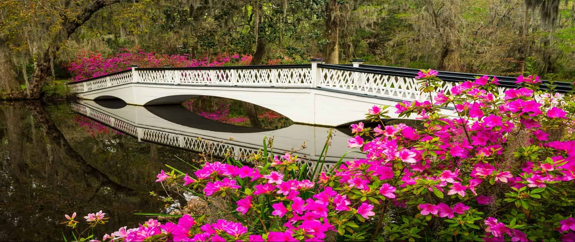 Magnolia Plantation and Gardens in Myrtle Beach, SC [2026 Visitors Guide]