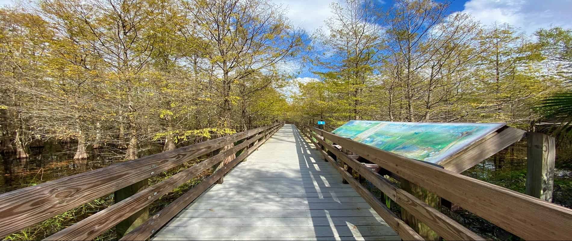 Six Mile Cypress Slough Preserve in Fort Myers Beach, FL [2026 Visitors ...