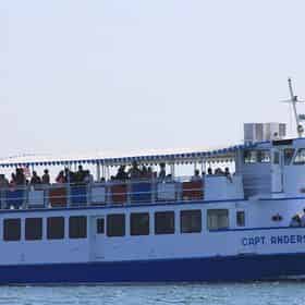 Sunset Dolphin Encounter Aboard Captain Anderson III - TripShock!
